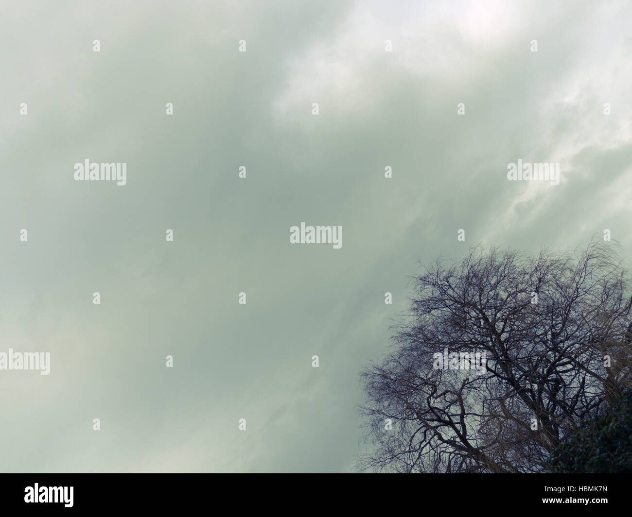 Leafless tree with the cloudy background Stock Photo - Alamy