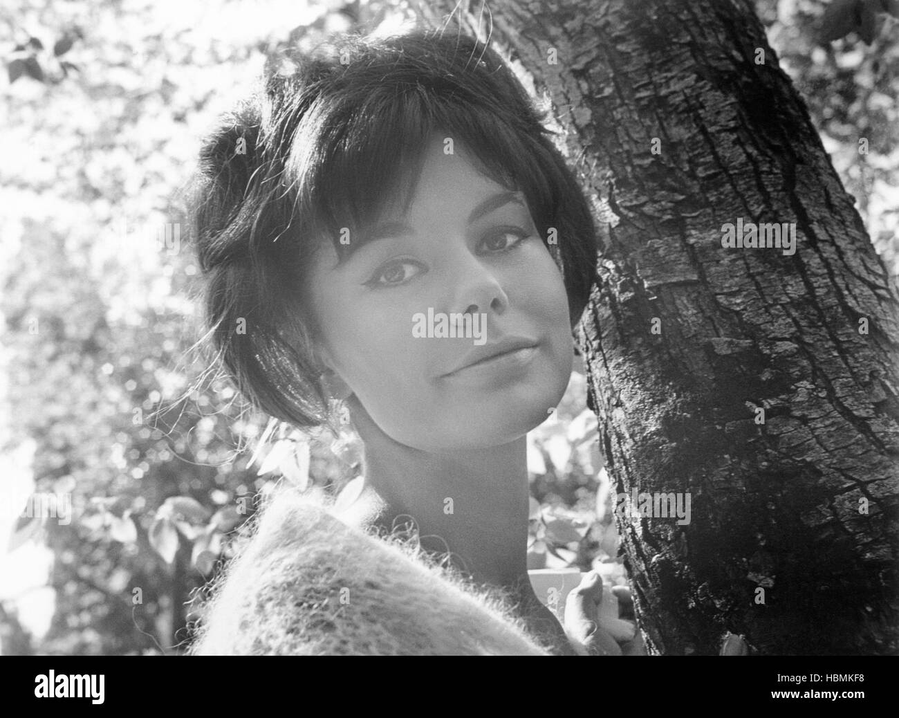 DARK PURPOSE, (aka L'INTRIGO), Giorgia Moll, 1964 Stock Photo - Alamy