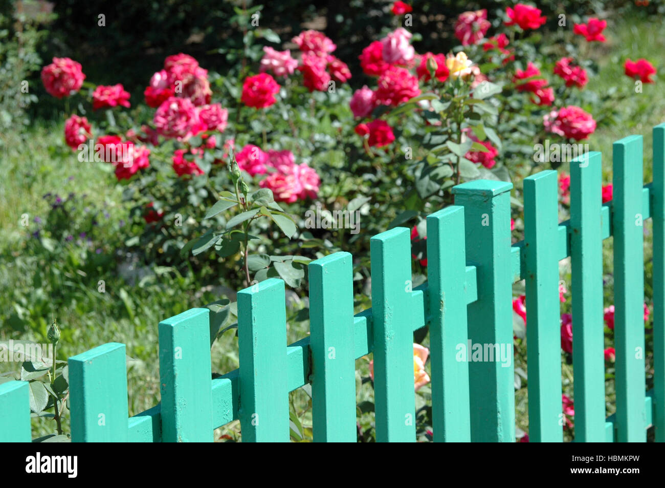 Irish Farm House Stock Photo - Alamy