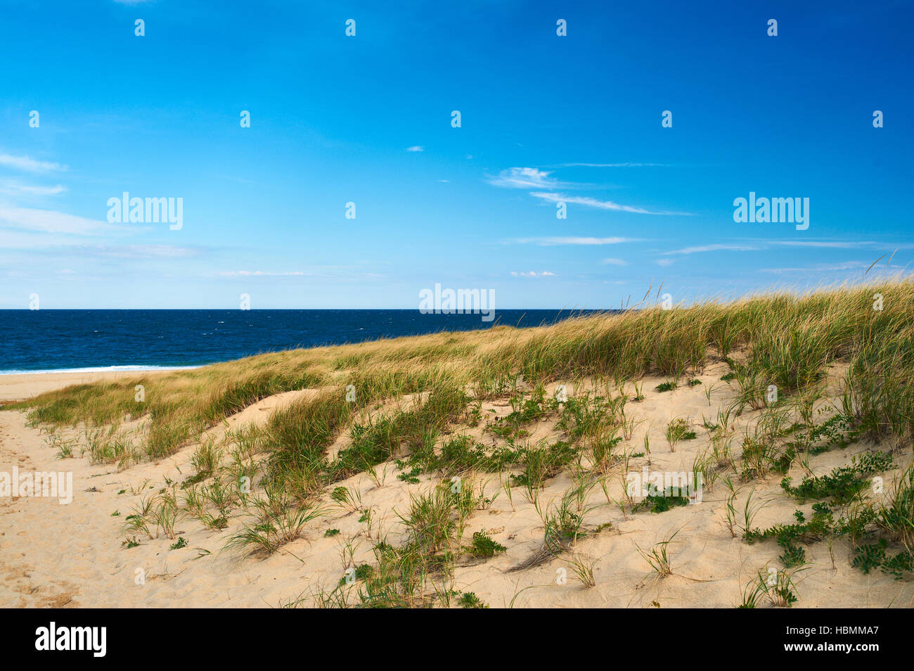 Landscape with sand dunes at Cape Cod Stock Photo - Alamy