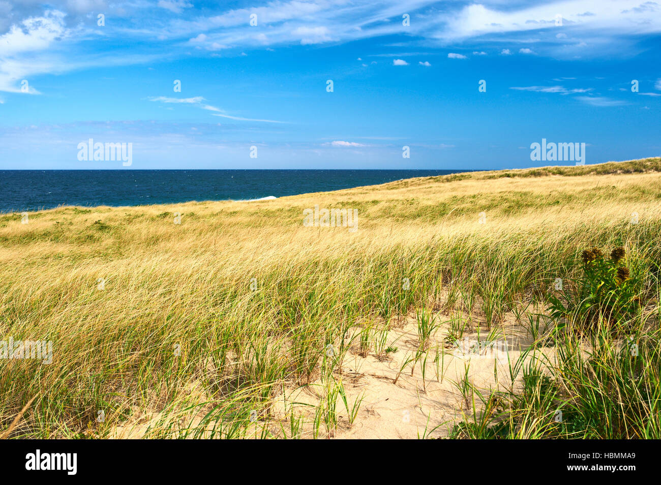 Landscape with sand dunes at Cape Cod Stock Photo - Alamy