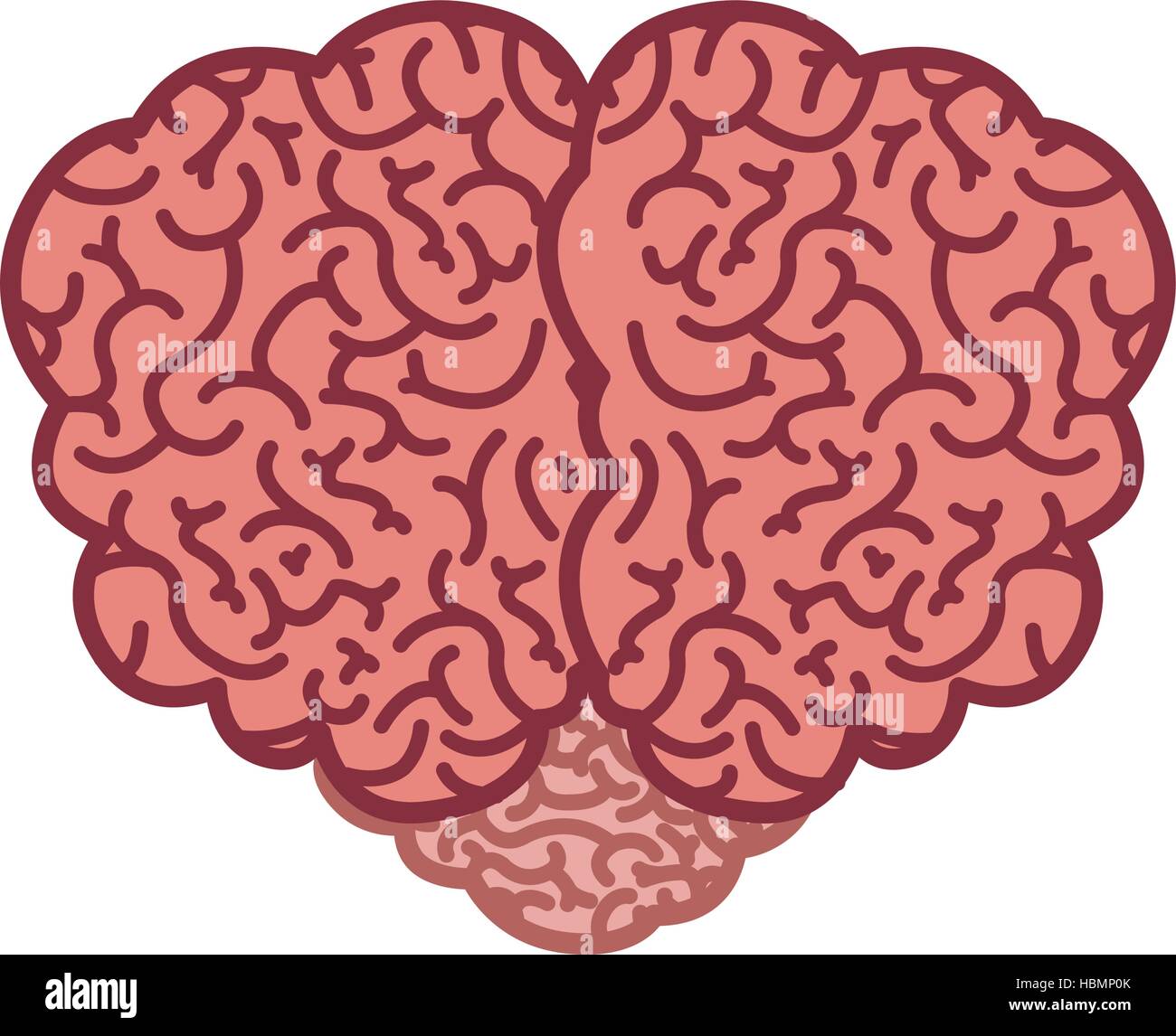 Top lobes Stock Vector Images - Alamy