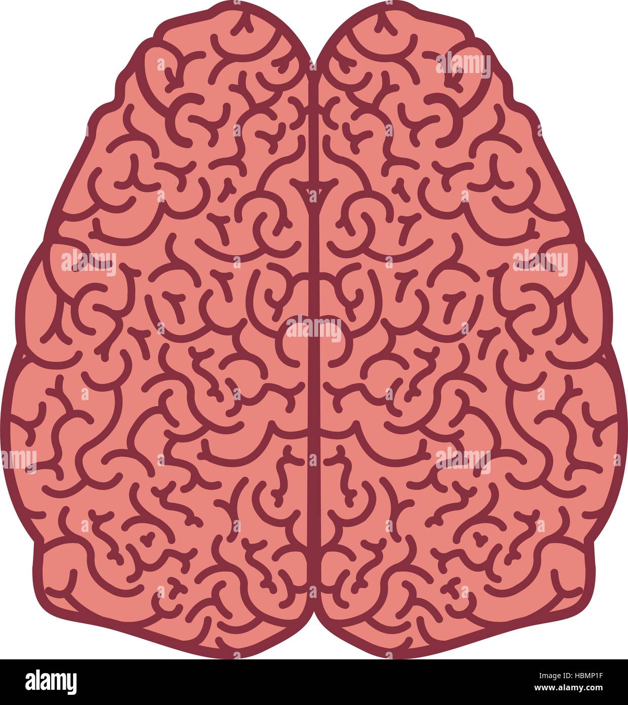 brain silhouette color with two cerebral hemispheres vector ...