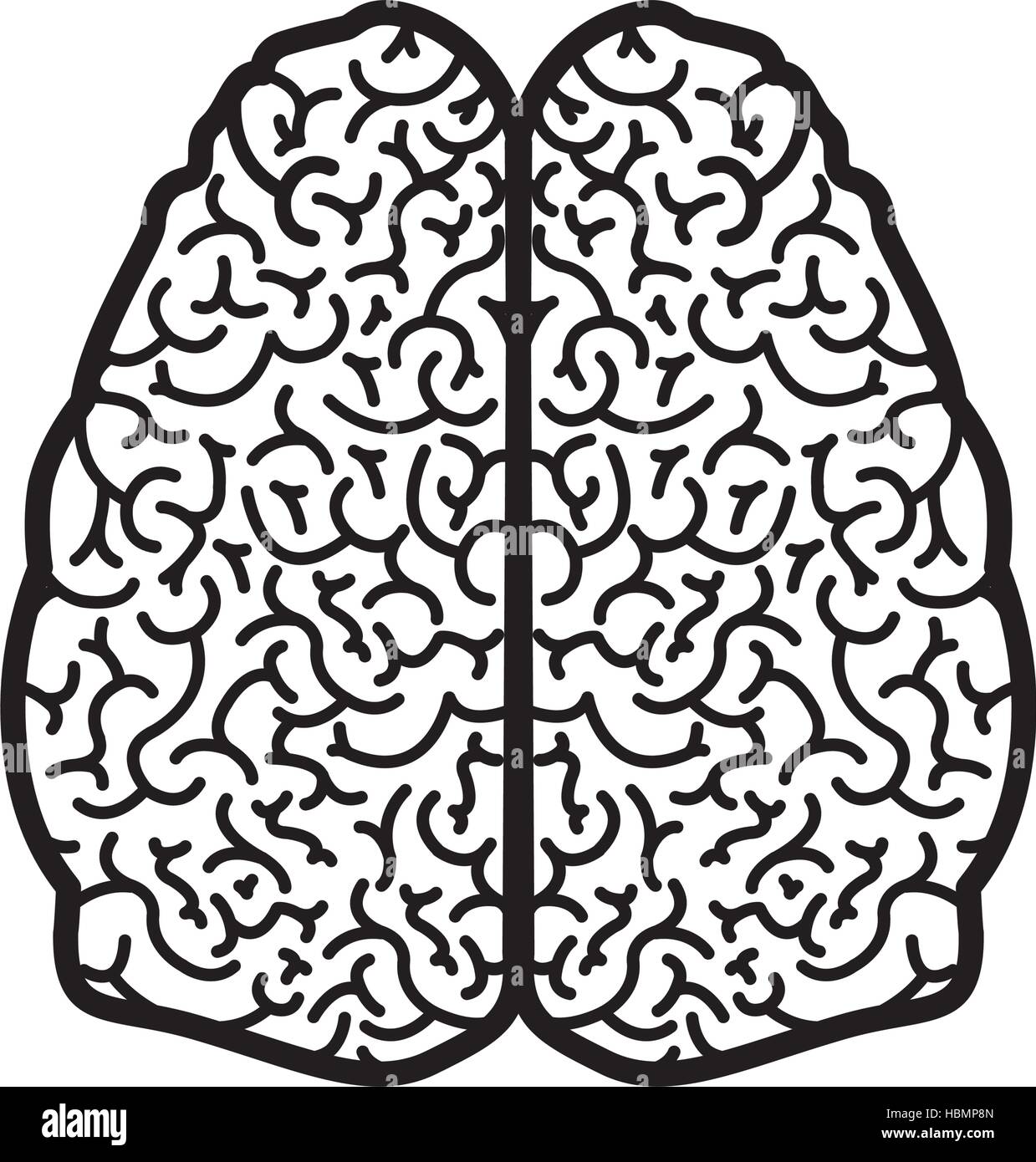 brain silhouette monochrome with two cerebral hemispheres vector ...
