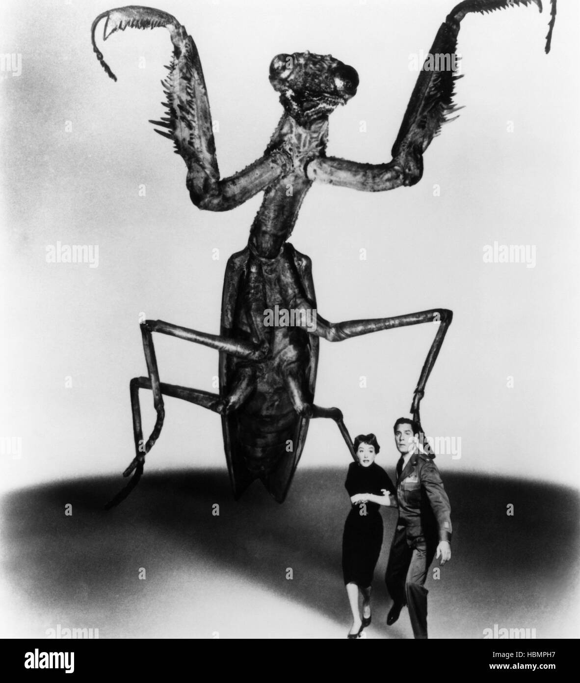 THE DEADLY MANTIS, Alix Talton, Craig Stevens, 1957 Stock Photo - Alamy