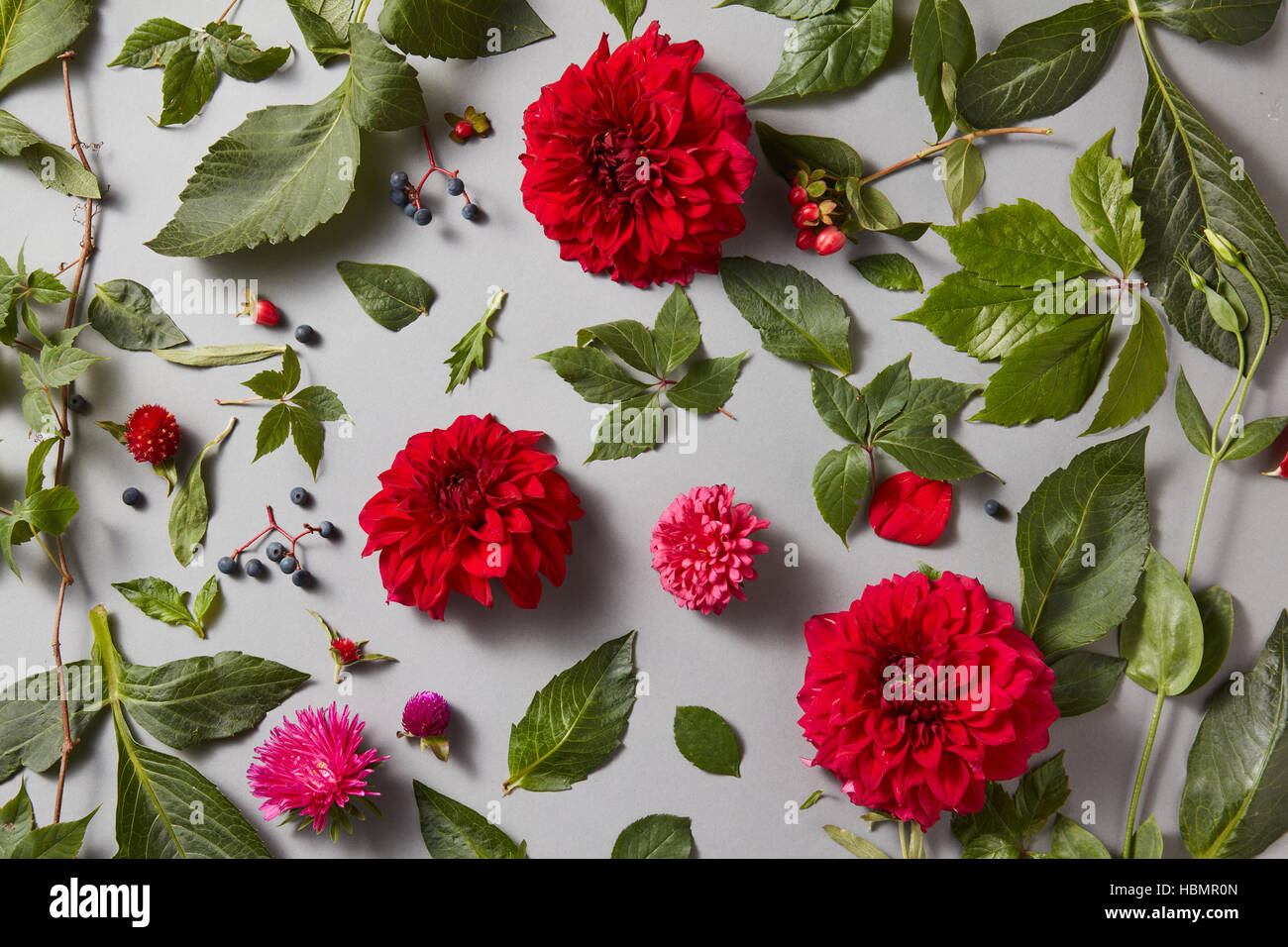 Plenty red natural roses seamless background Stock Photo - Alamy