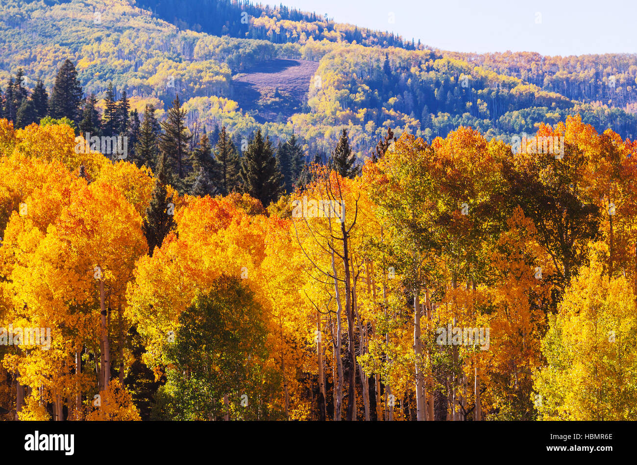 Autumn in Colorado Stock Photo - Alamy