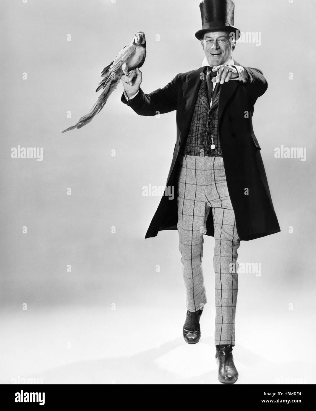 Doctor dolittle parrot High Resolution Stock Photography and Images - Alamy