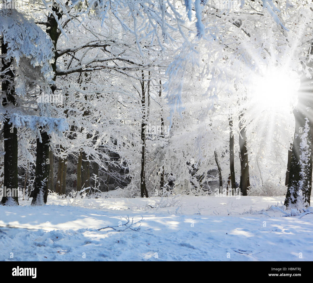 Christmas sunny morning Stock Photo - Alamy