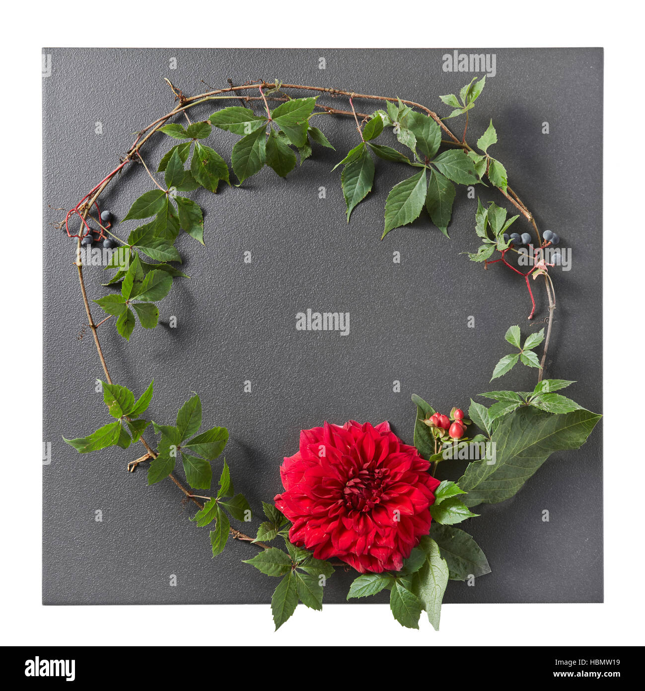 Red rose border frame hi-res stock photography and images - Alamy