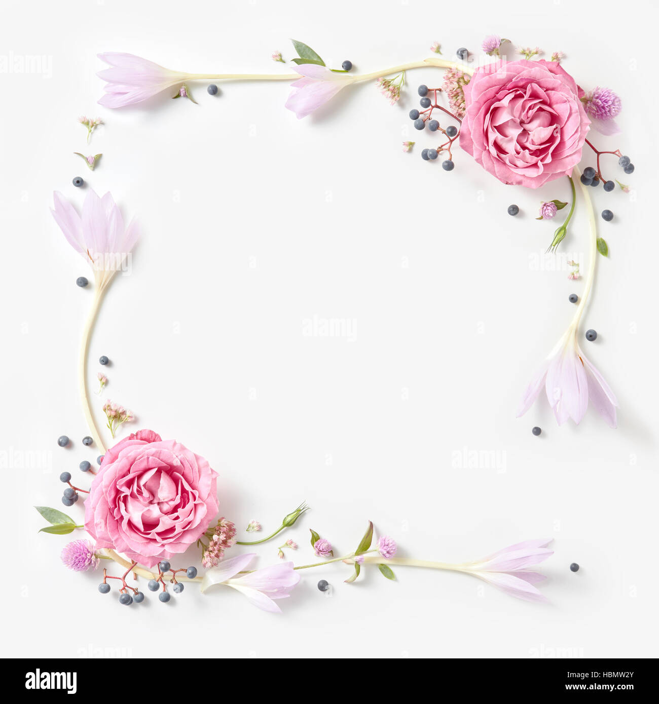 Fresh pink roses frame border isolated Stock Photo - Alamy