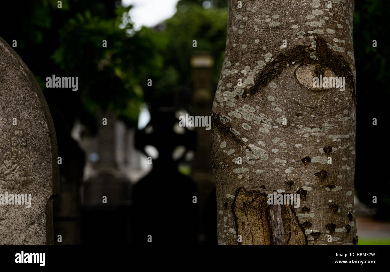 Tree in cemetery Stock Photo - Alamy