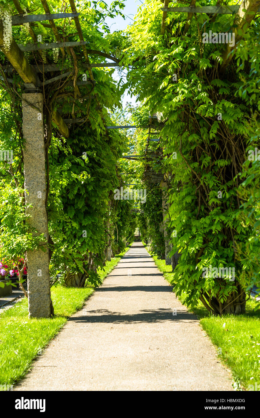 Georgetown cemetery hi-res stock photography and images - Alamy