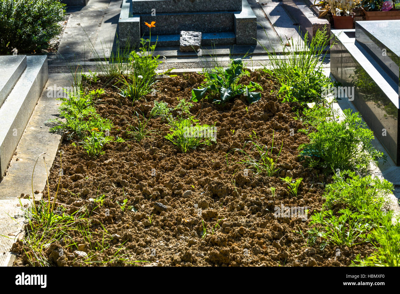 Cemetery plot hi-res stock photography and images - Alamy