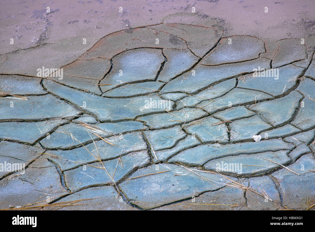 Cracked salt hi-res stock photography and images - Alamy