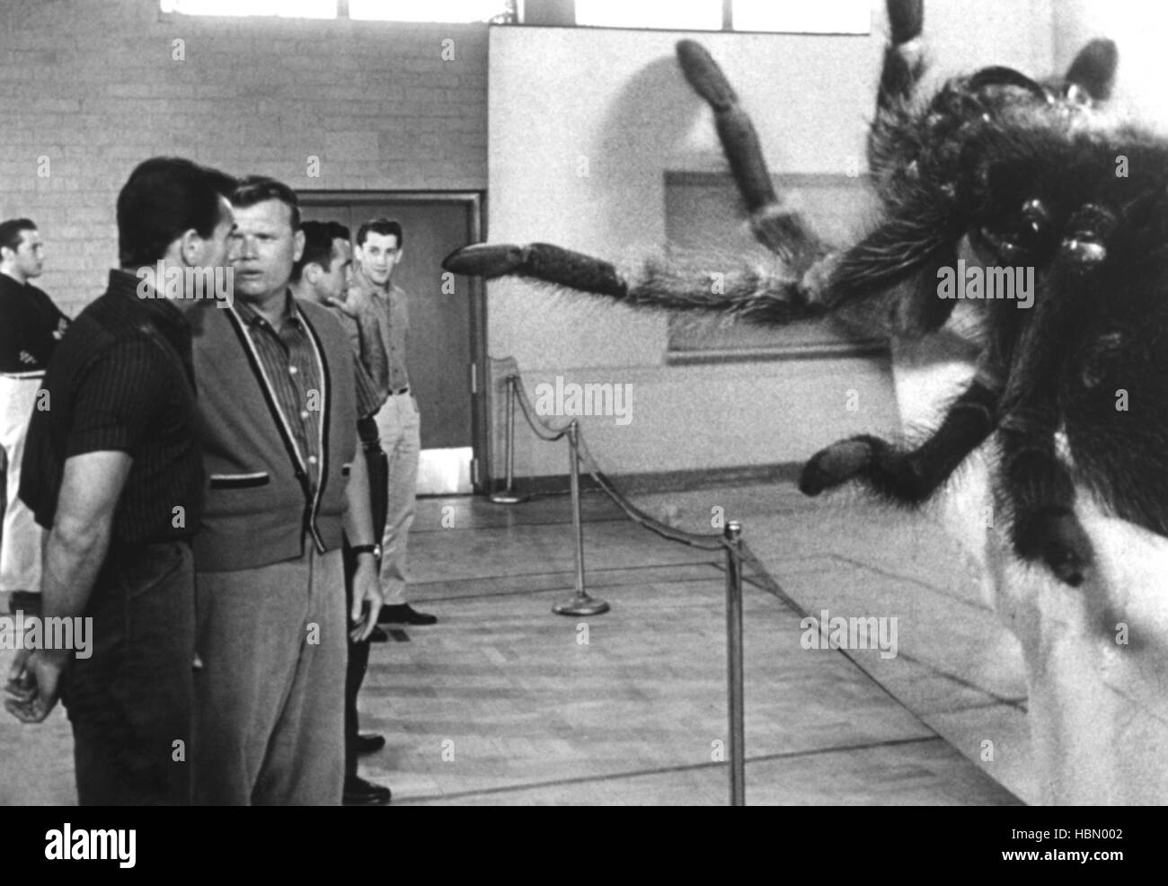 EARTH VS. THE SPIDER, Skip Young, 1958 Stock Photo - Alamy