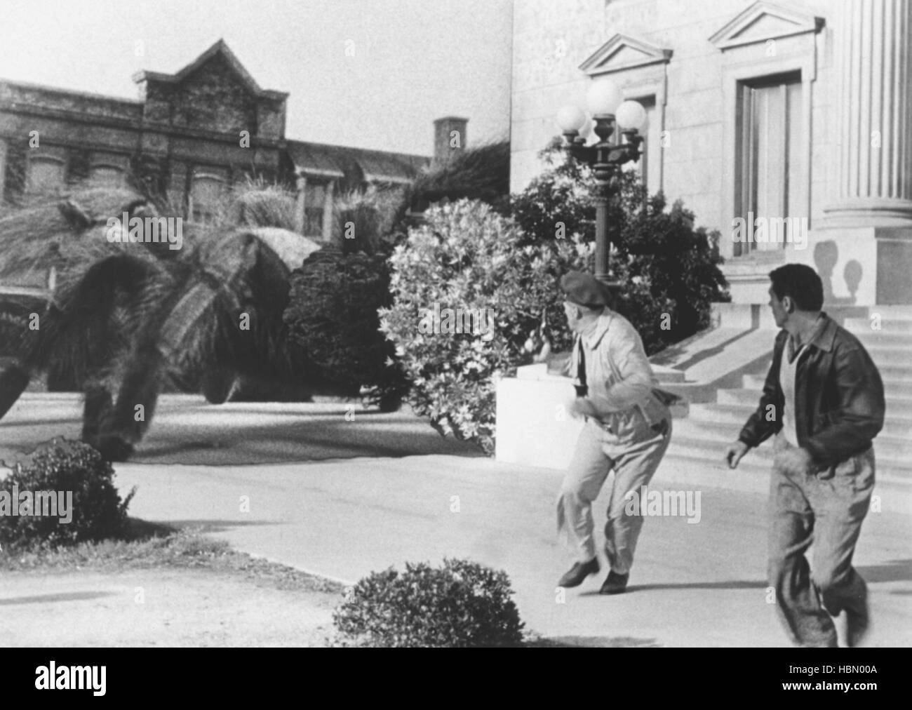 EARTH VS. THE SPIDER, Gene Roth, Ed Kemmer, 1958 Stock Photo - Alamy