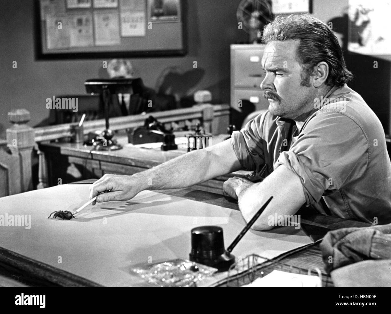 EARTH VS. THE SPIDER, Mickey Finn, 1958 Stock Photo - Alamy