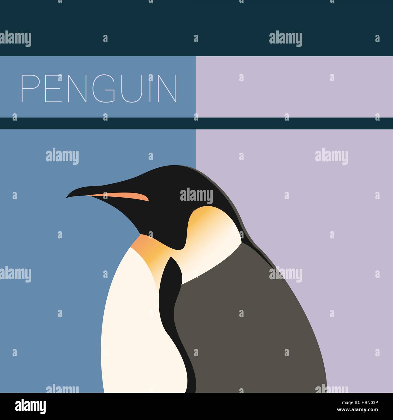 Black gentoo Stock Vector Images - Alamy