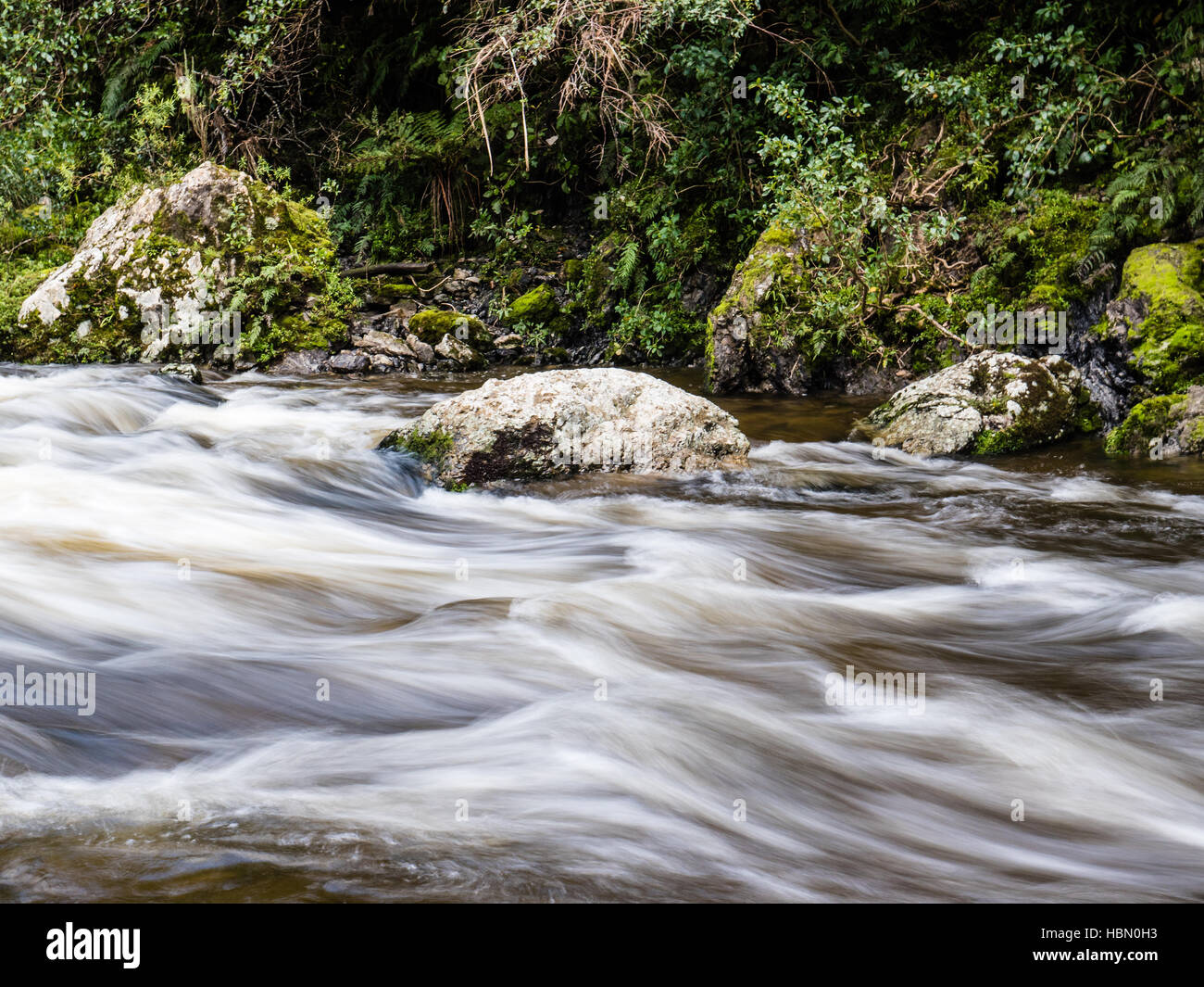 Manamatu wanganui hi-res stock photography and images - Alamy