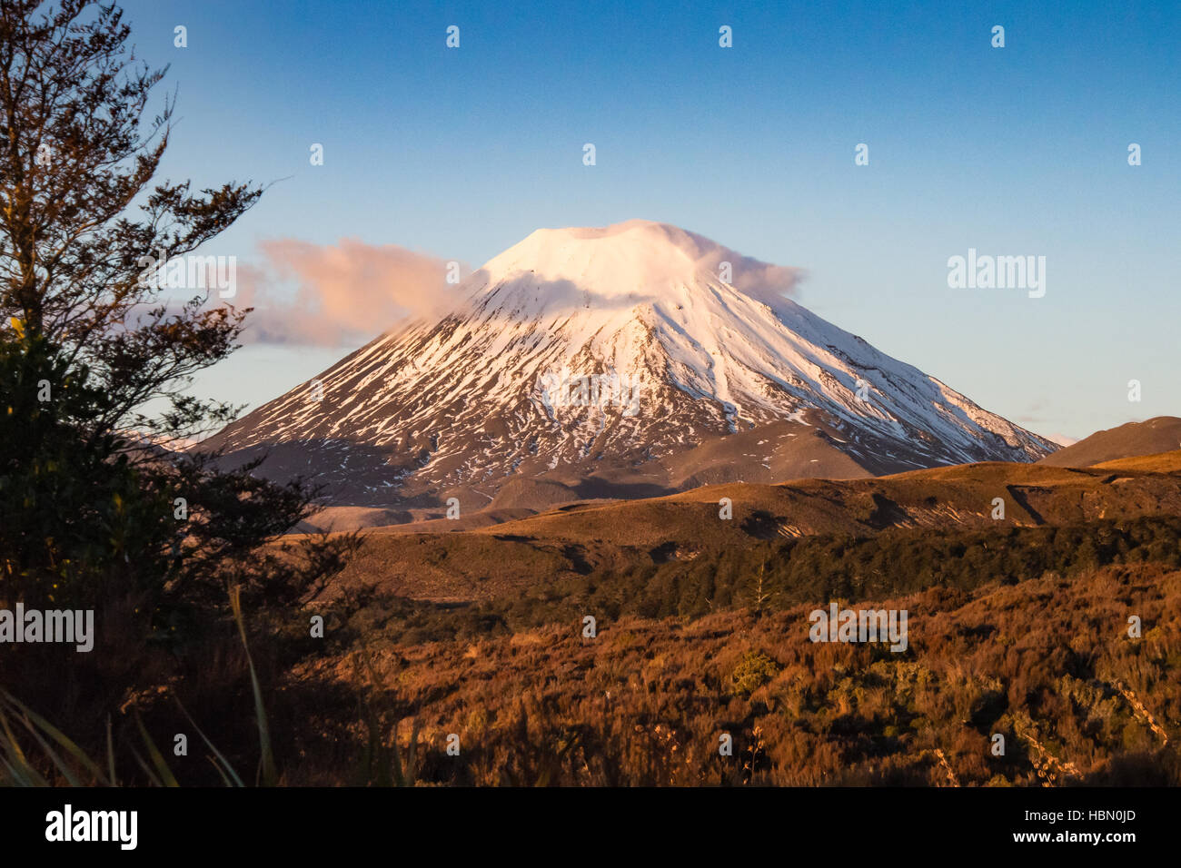 Dawn light on Mount Ngauruhoe volcano, New Zealand Stock Photo - Alamy
