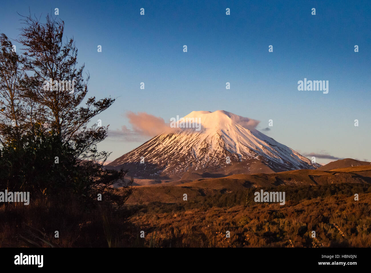 Dawn light on Mount Ngauruhoe volcano, New Zealand Stock Photo - Alamy