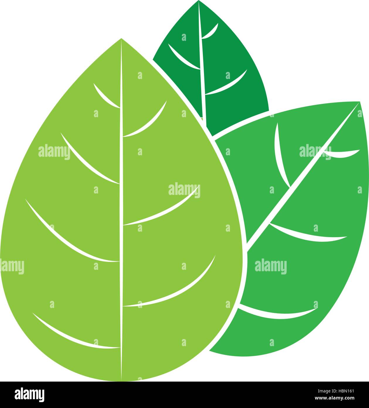 green branch with multiple leaves vector illustration Stock Vector ...