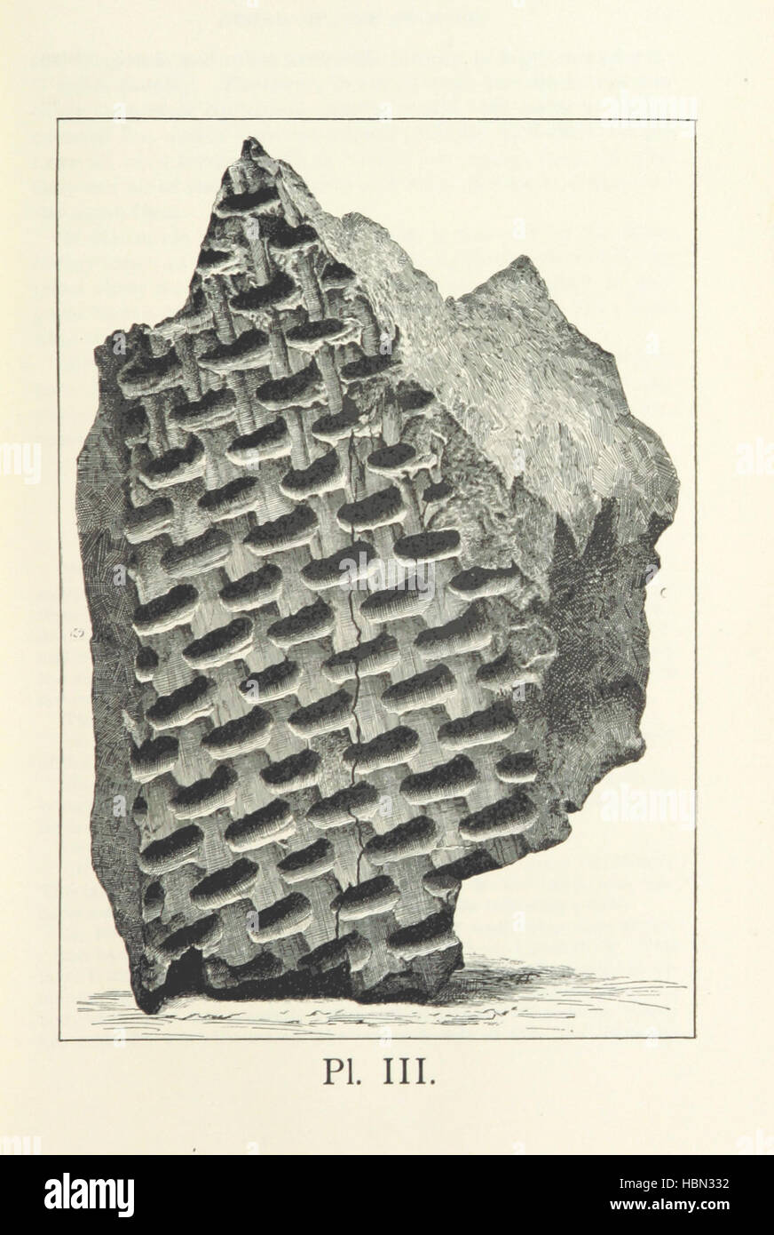 Incwadi Yami; or, Twenty years' personal experience in South Africa ...