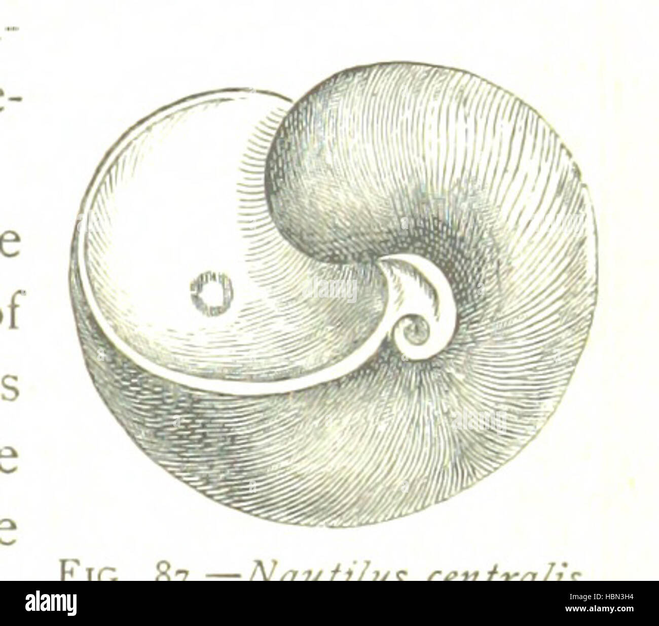 Physiography map hi-res stock photography and images - Alamy