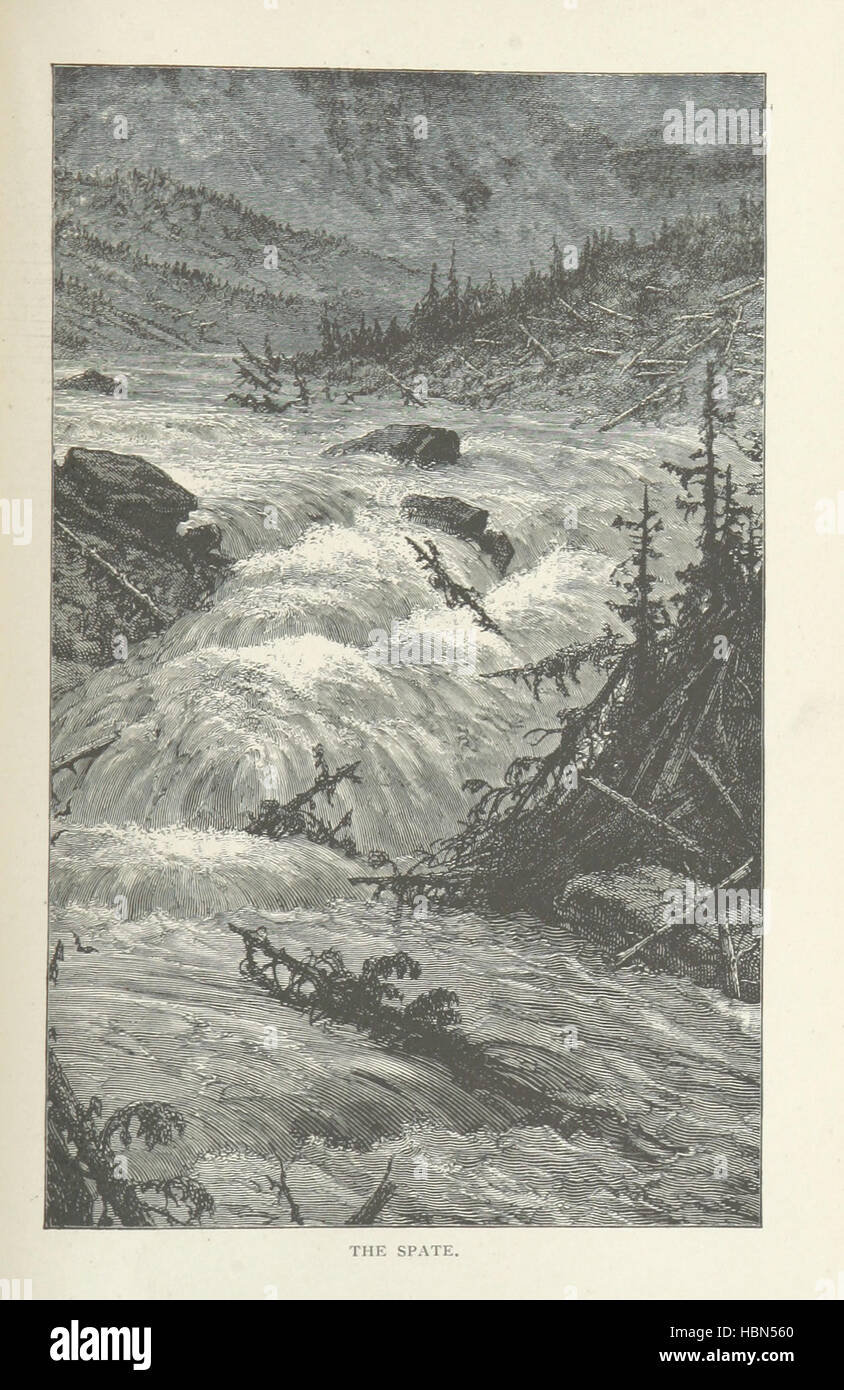 Kenneth McAlpine: a tale of mountain, moorland, and sea Image taken ...