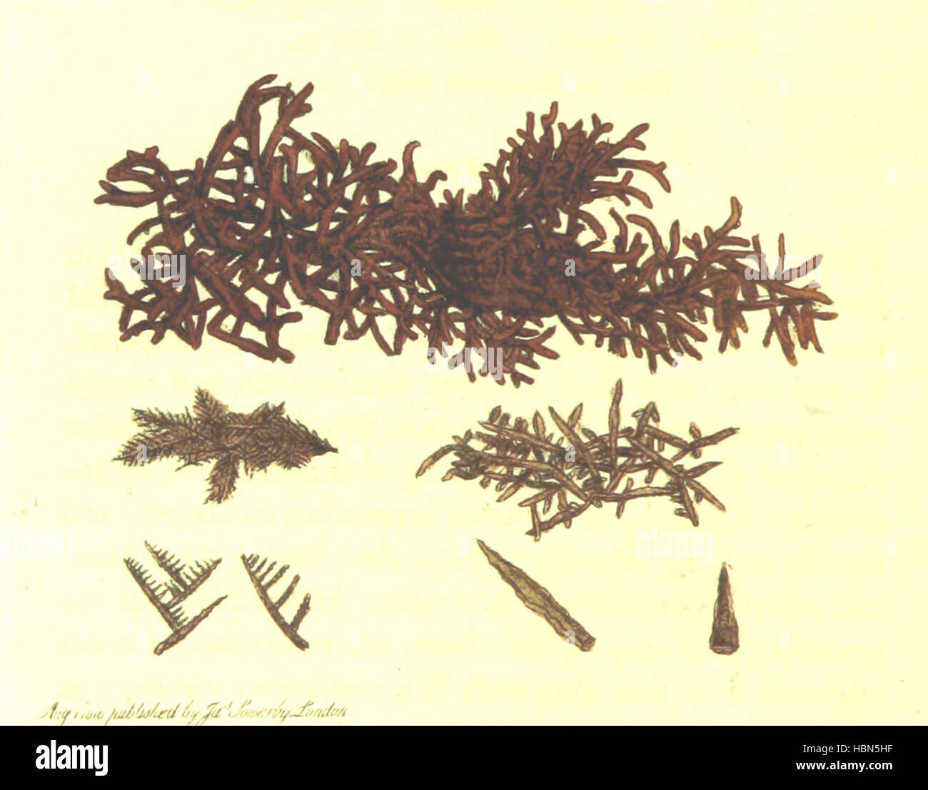 The illustration on page 328 of 'British Mineralogy' depicts mineral ...