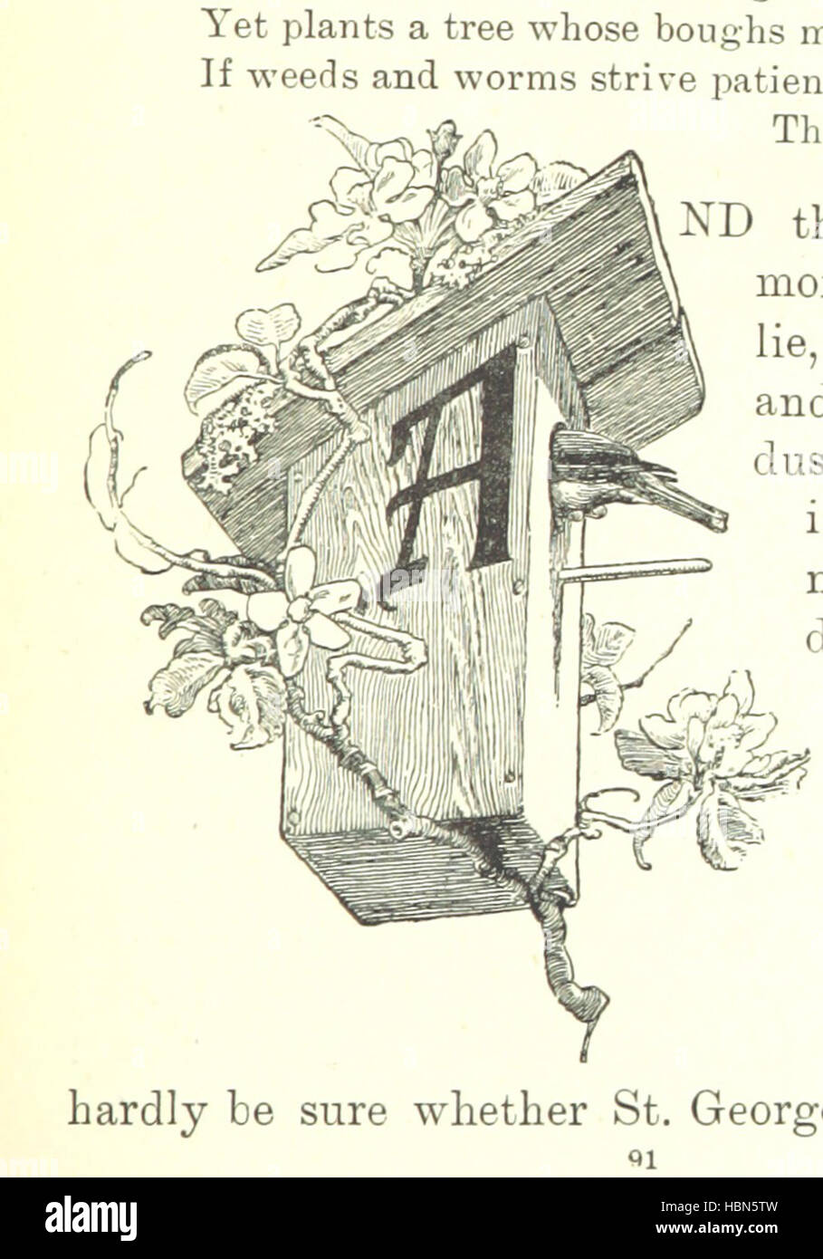 A Narrow, Narrow World Image taken from page 101 of 'A Narrow, Narrow ...