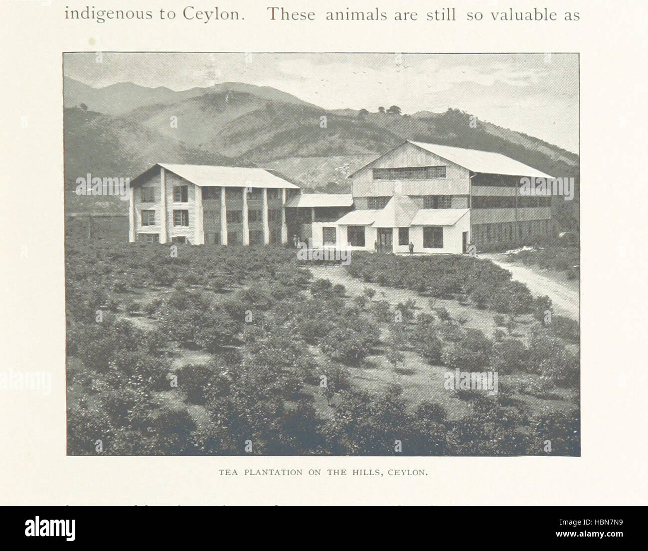 John lawson map hi-res stock photography and images - Alamy