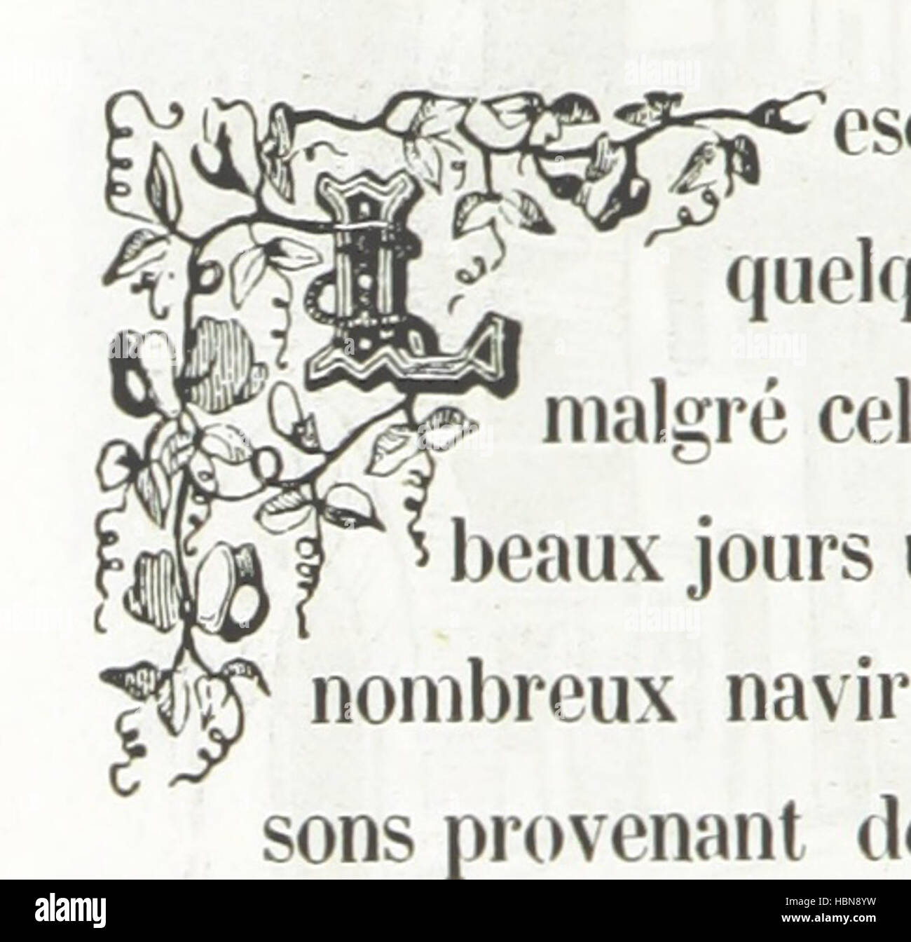This image from page 156 of 'Guide du Voyageur' shows a map or ...