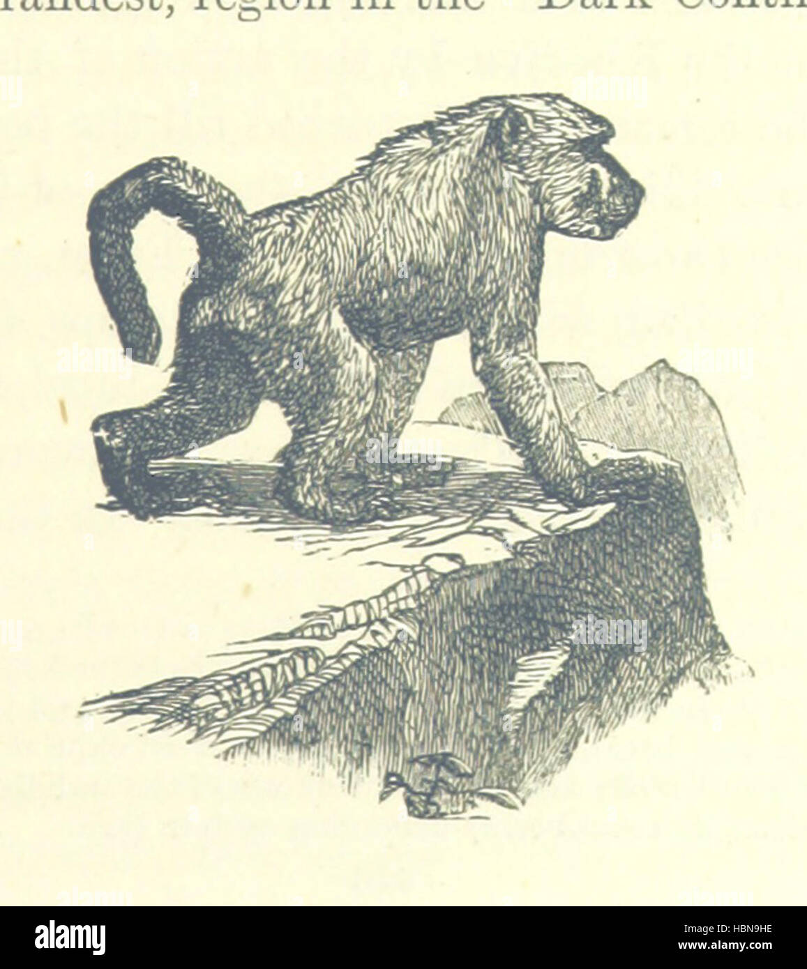 This image from page 477 depicts African exploration, showing explorers ...