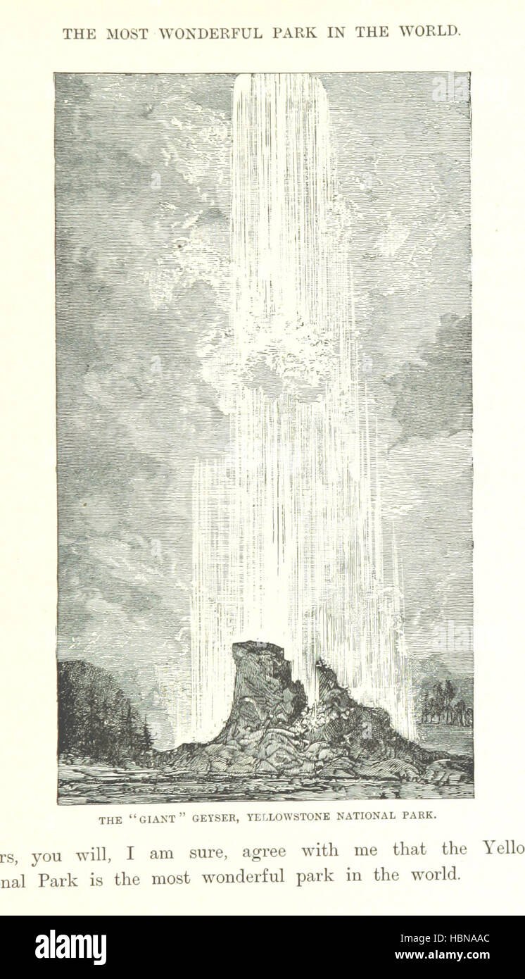Image taken from page 275 of 'Wonderland, or, Curiosities of Nature and ...
