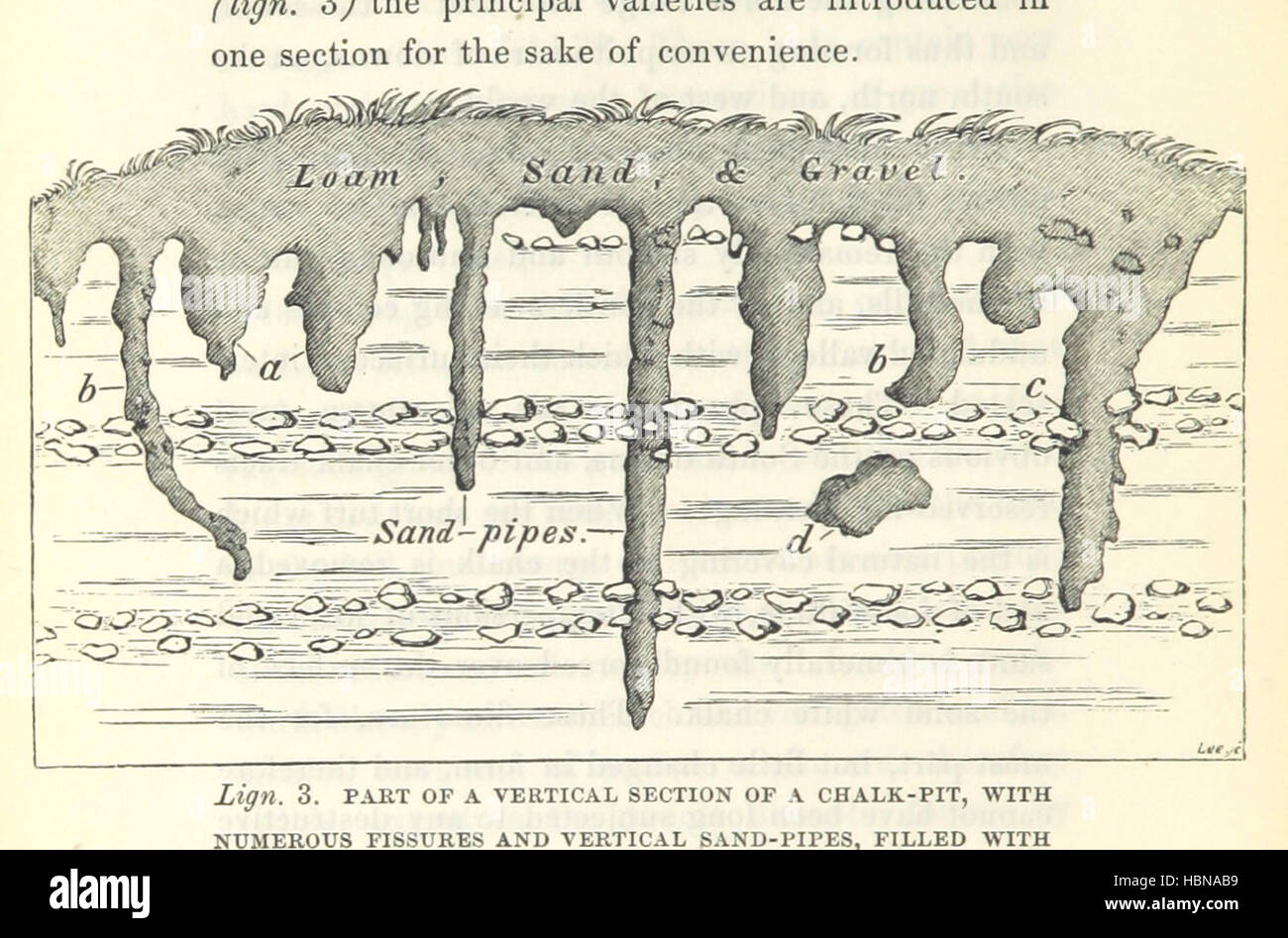 This image is from a handbook of Dorking, showing maps, streets ...