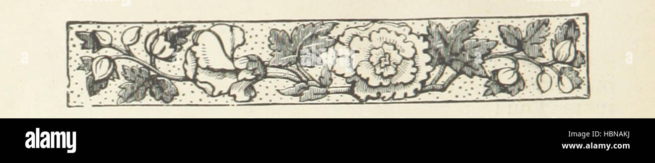 Map of wimborne minster hi-res stock photography and images - Alamy