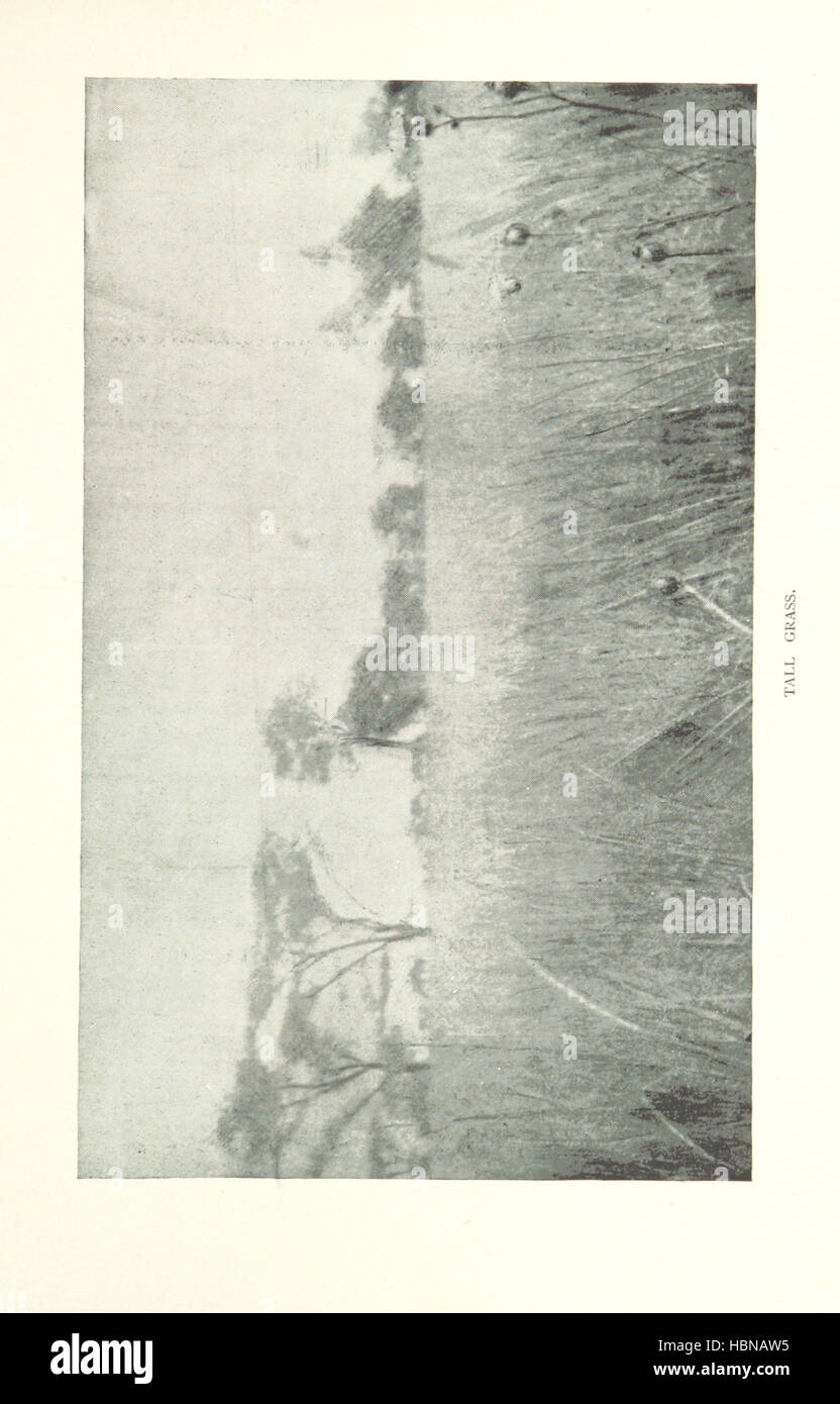 Sultan to Sultan. Adventures among the Masai and other tribes of East ...