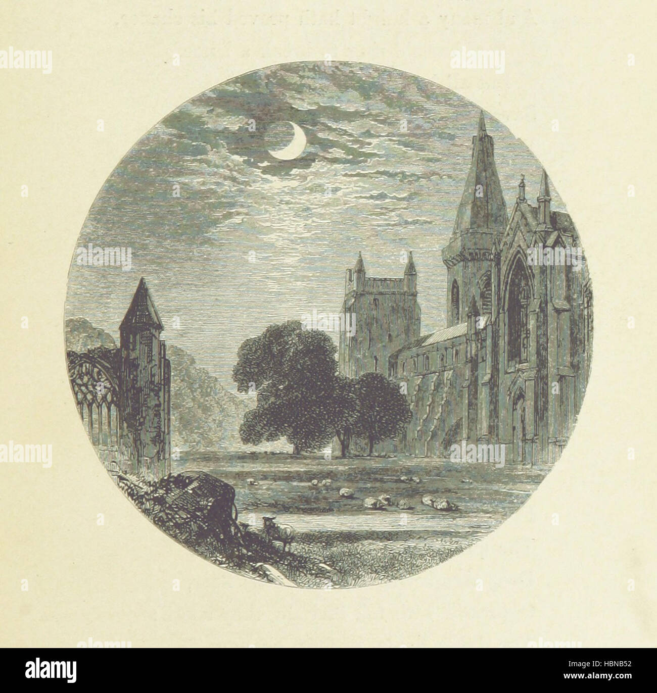 003317842 vol hi-res stock photography and images - Alamy