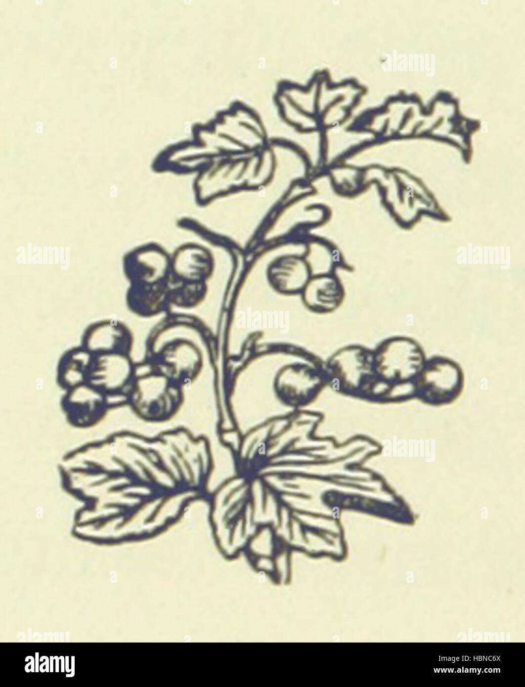 This image from page 158 of 'The Dark Colleen' showcases a scene from ...