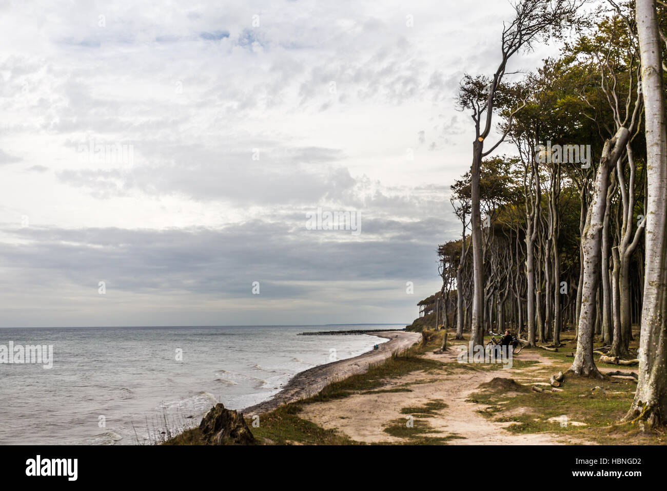 baltic beach germany Stock Photo - Alamy