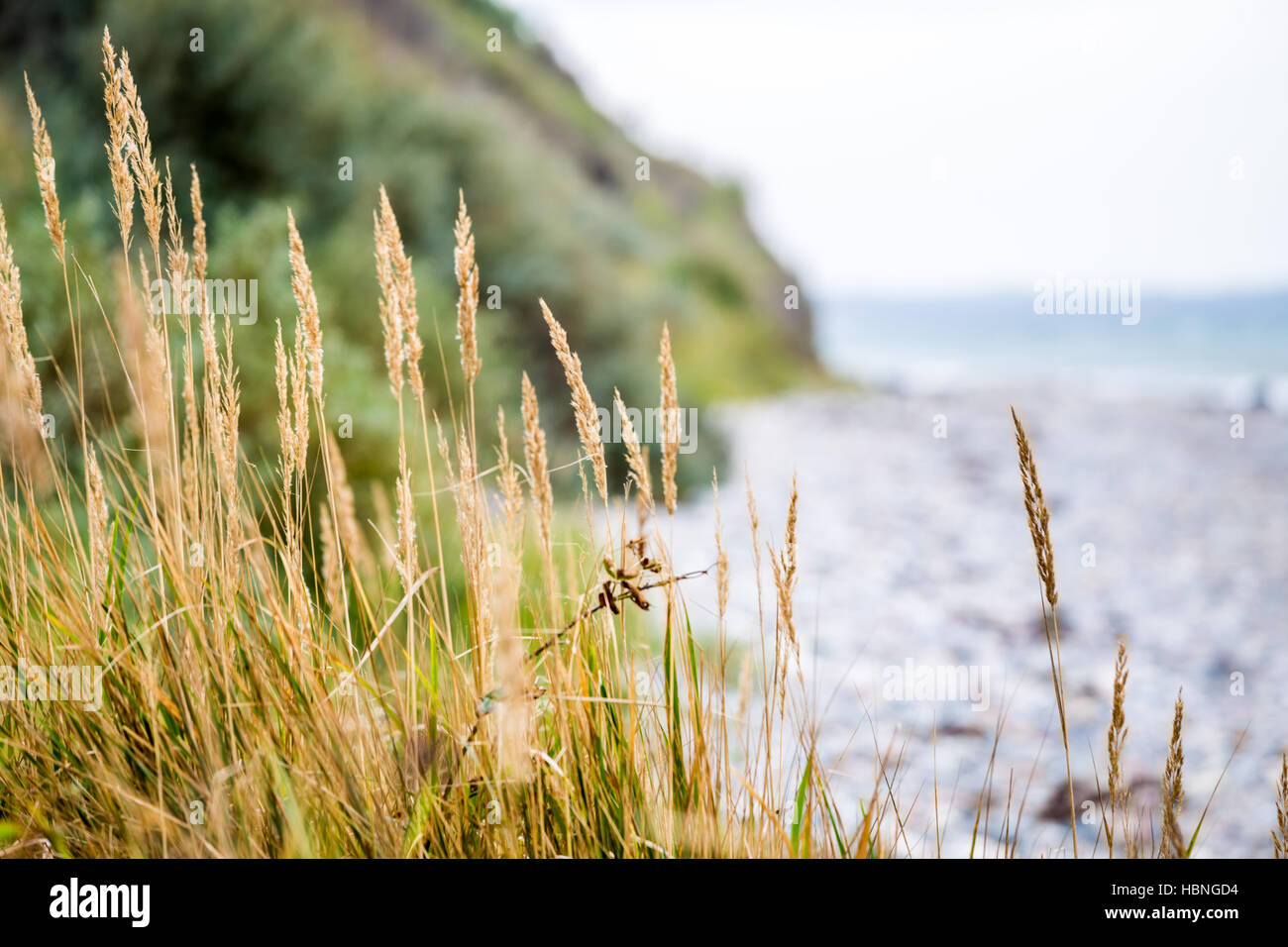 baltic beach germany Stock Photo - Alamy