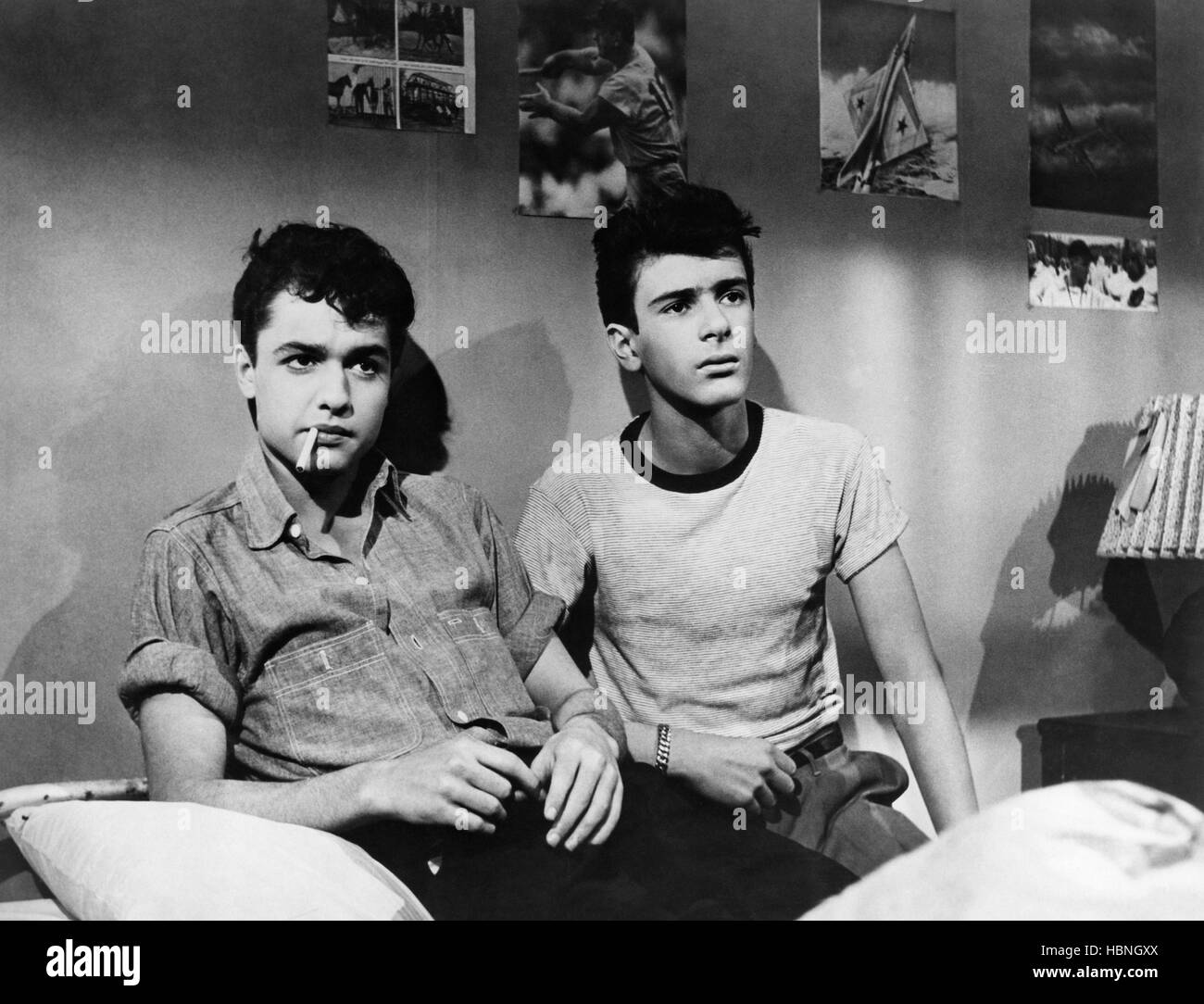 DINO, Sal Mineo, Pat DeSimone, 1957 Stock Photo - Alamy