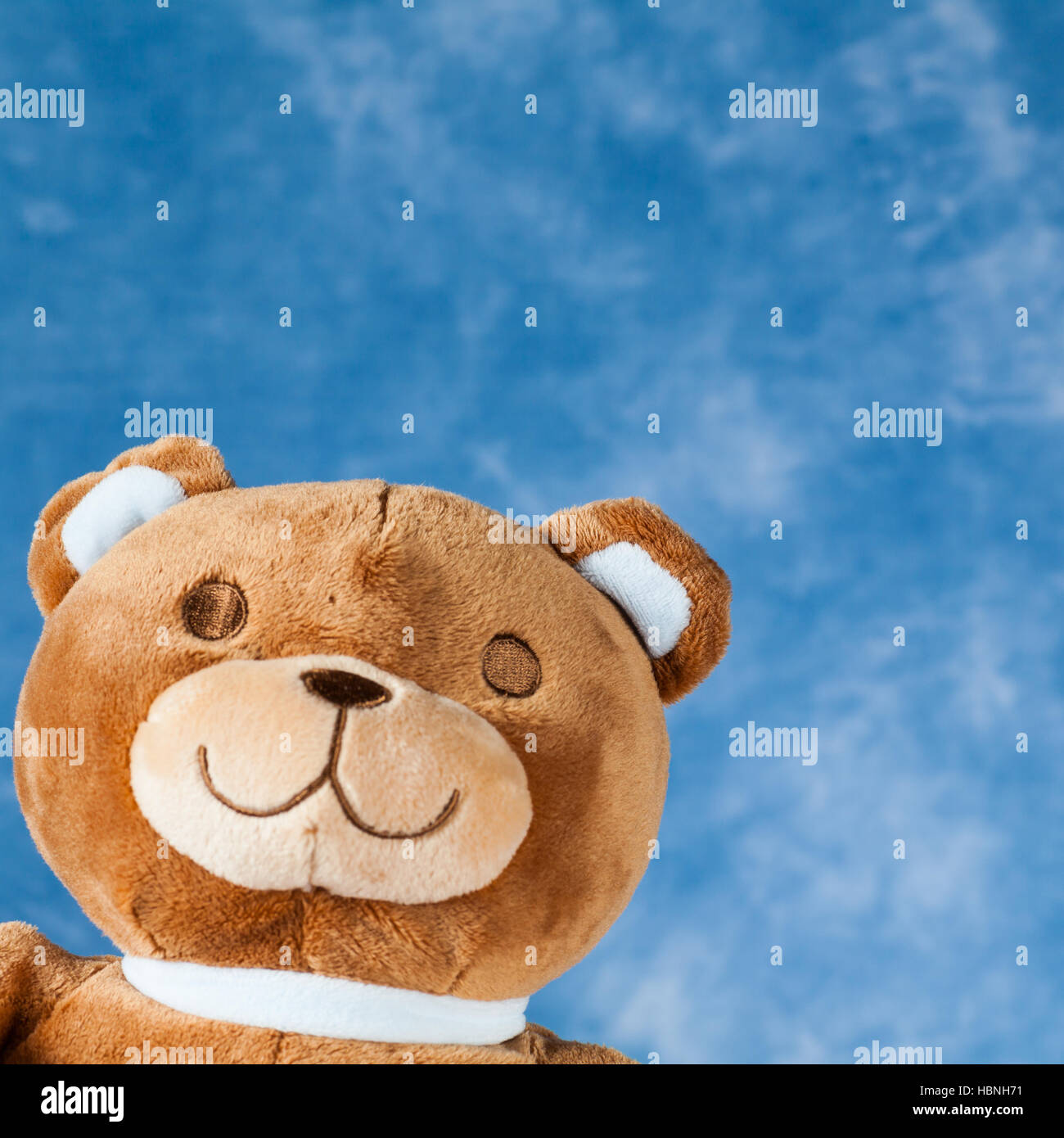 Lovely Teddy Bear Stock Photo - Alamy