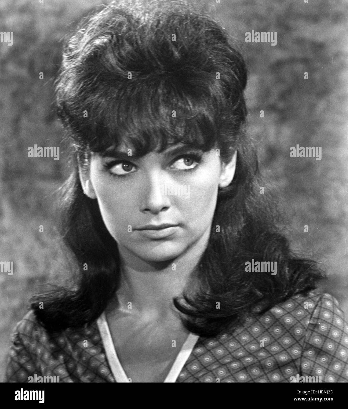 A DISTANT TRUMPET, Suzanne Pleshette, 1964 Stock Photo - Alamy