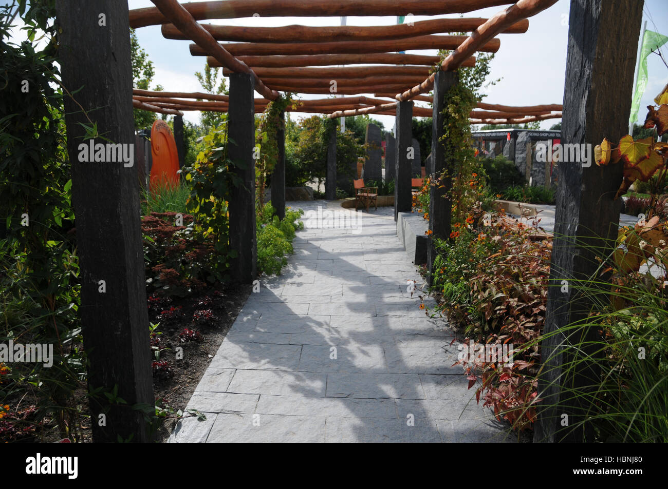 Pavement planting hi-res stock photography and images - Alamy