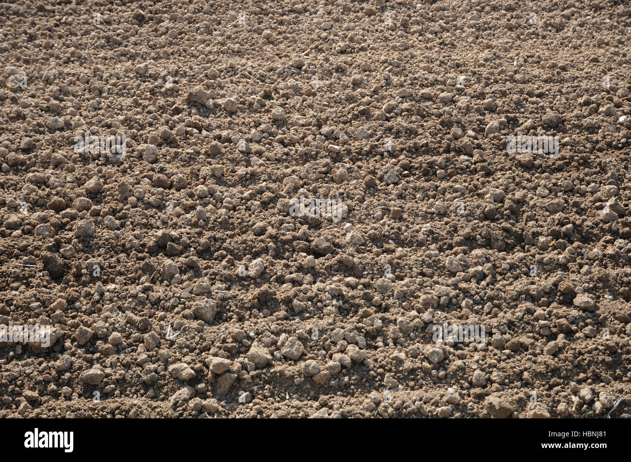 Harrowing a field Stock Photo - Alamy