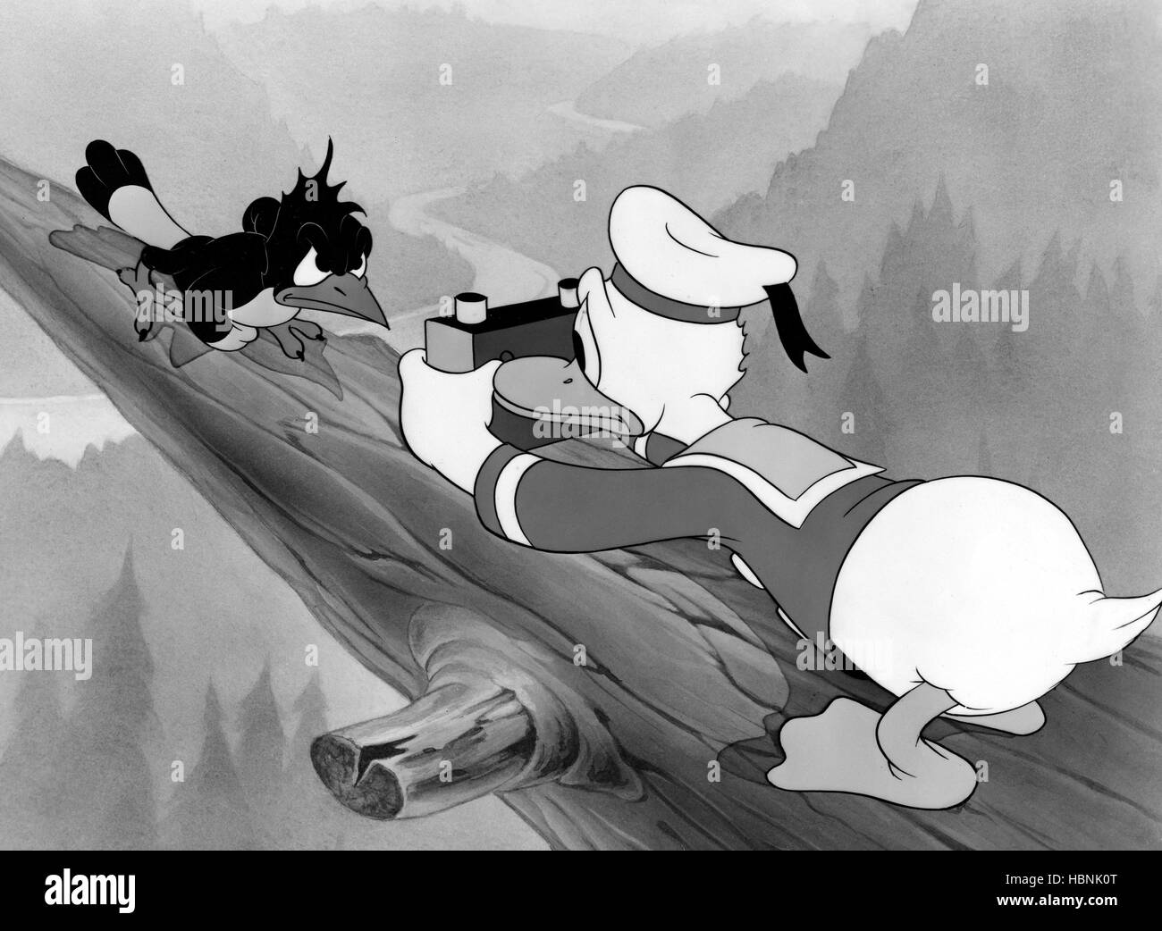 DONALD'S CAMERA, Donald Duck, 1941 Stock Photo - Alamy