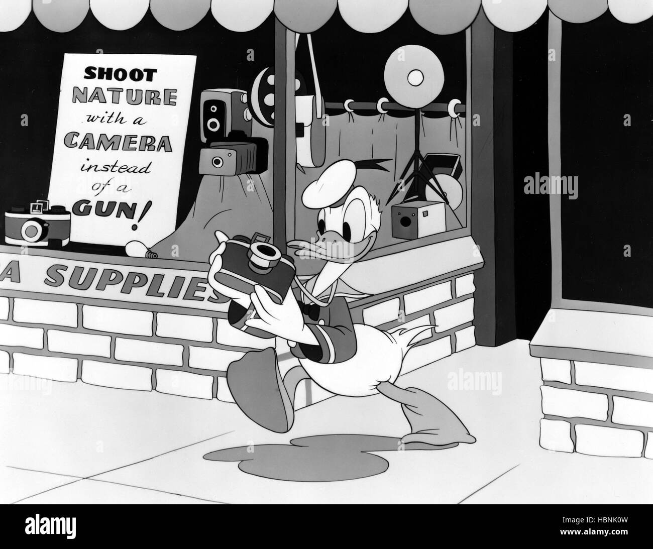 DONALD'S CAMERA, Donald Duck, 1941 Stock Photo - Alamy